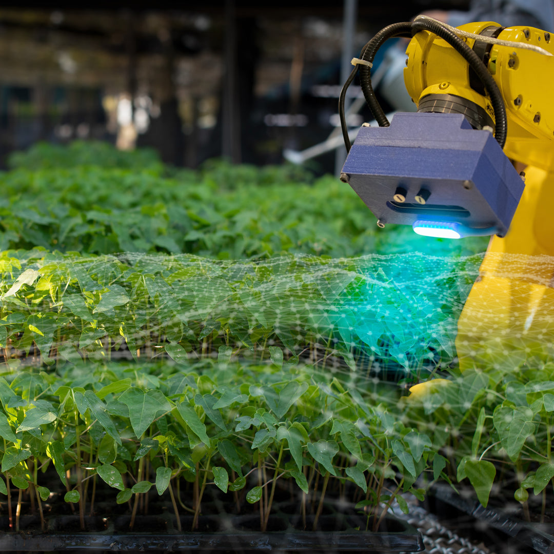 Sustany Global Partners